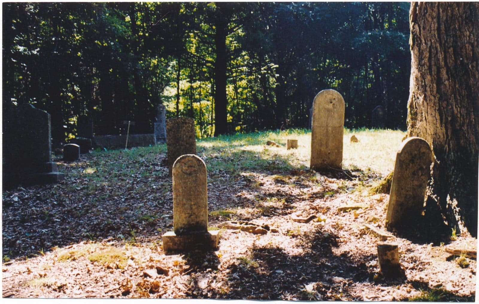 Archives launches interactive Catholic cemeteries map – Diocese of ...